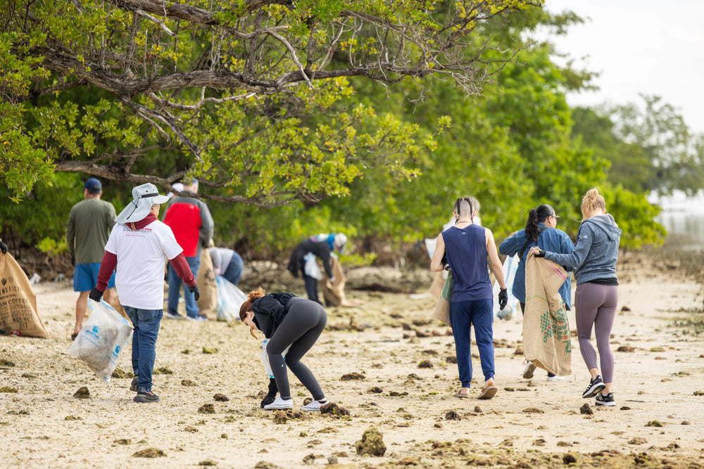 Clean Miami Beach – CleanMiamiBeach